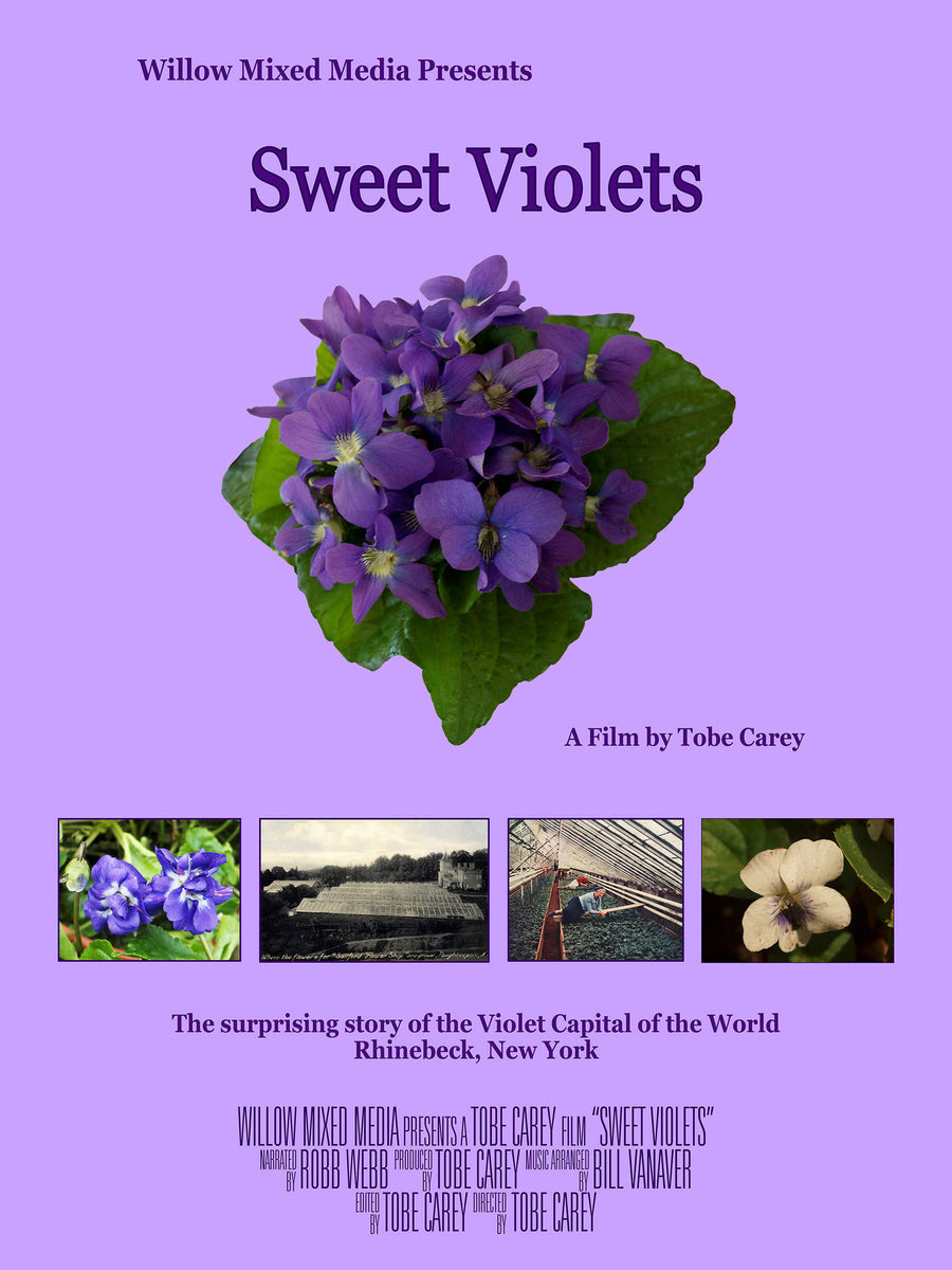 Sweet Violets – Willow Mixed Media